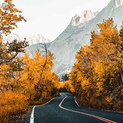 LyleTilley123 | ScreenRant Profile