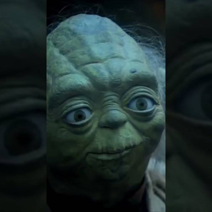 Bradley | ScreenRant Profile