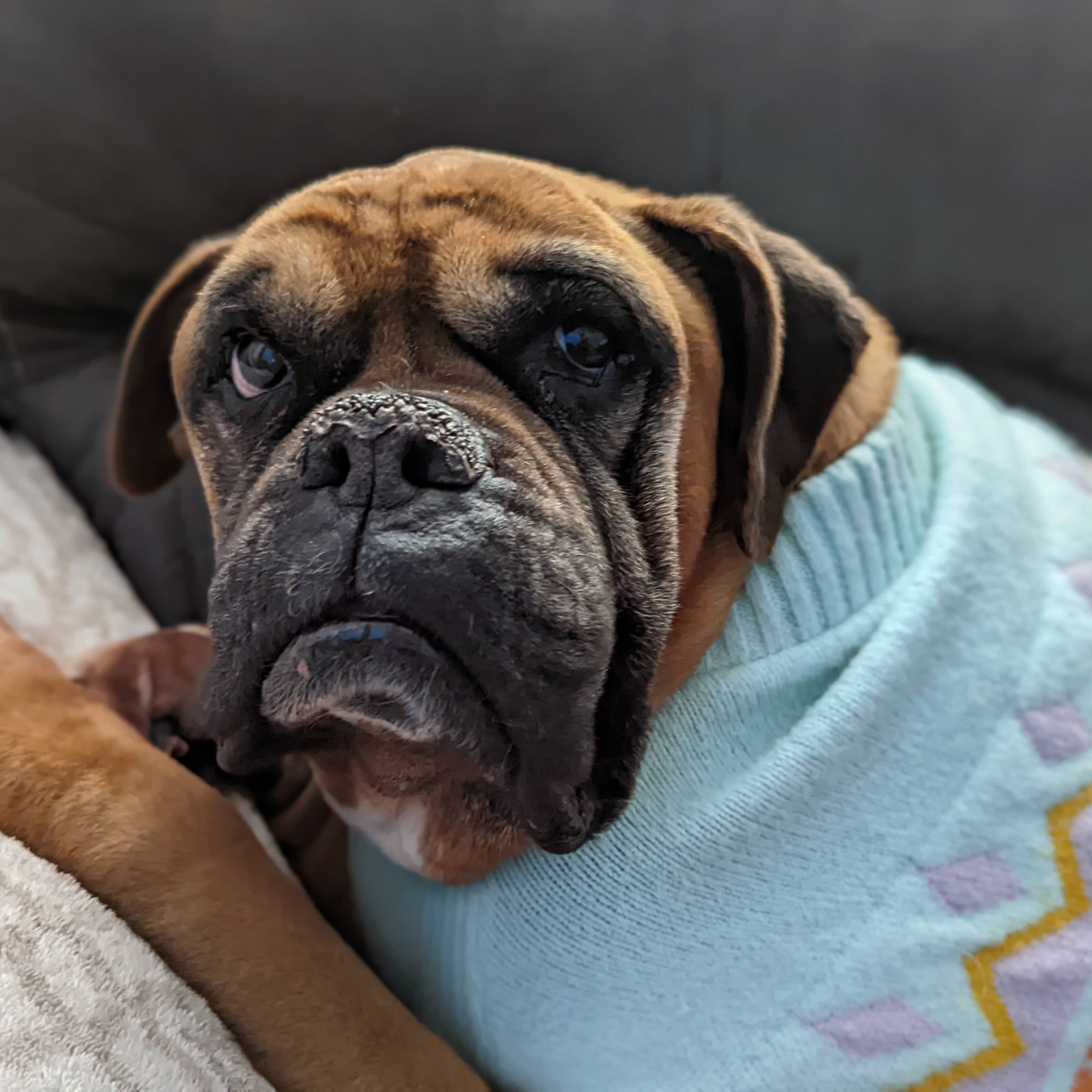 TheDoctor | ScreenRant Profile