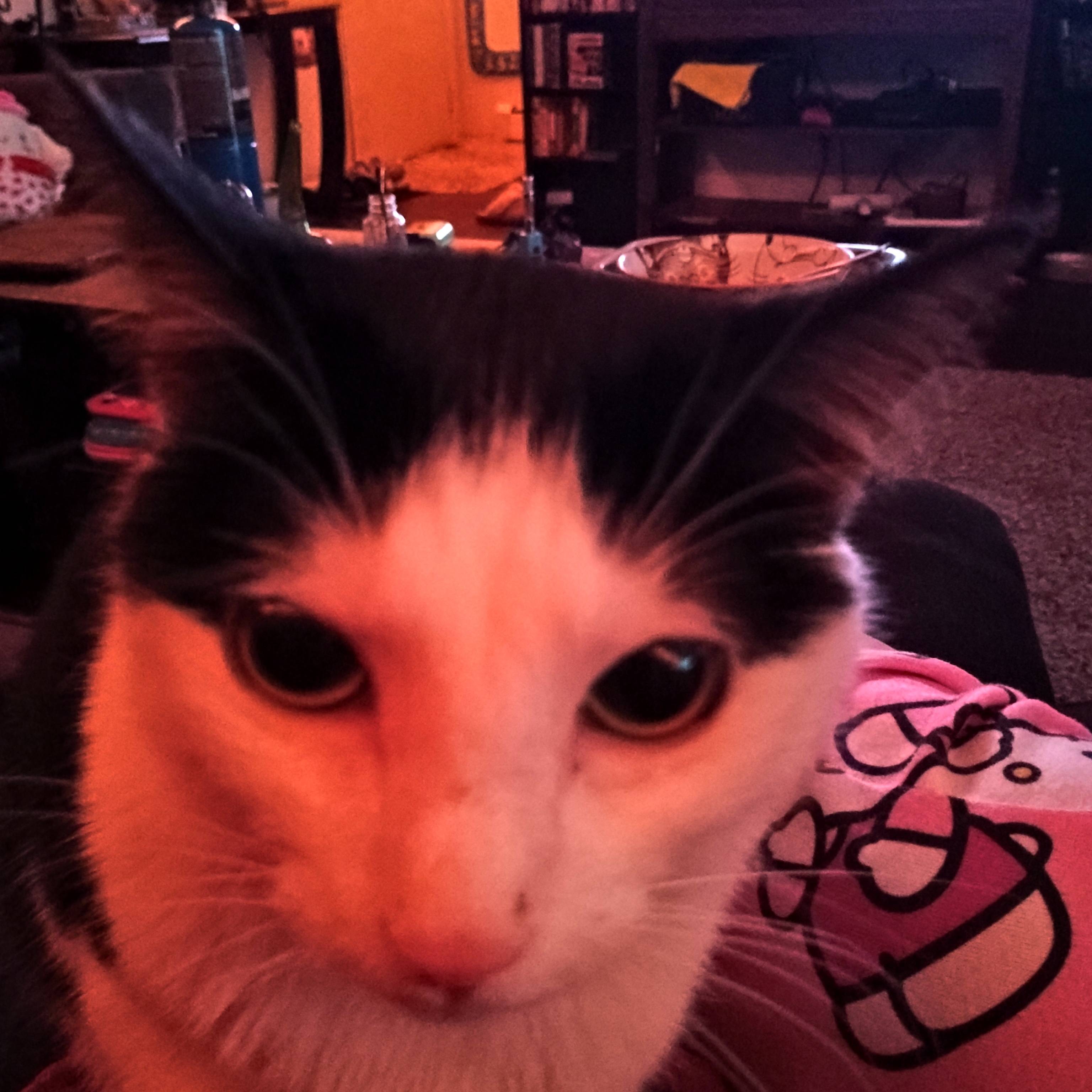 Murmur | ScreenRant Profile