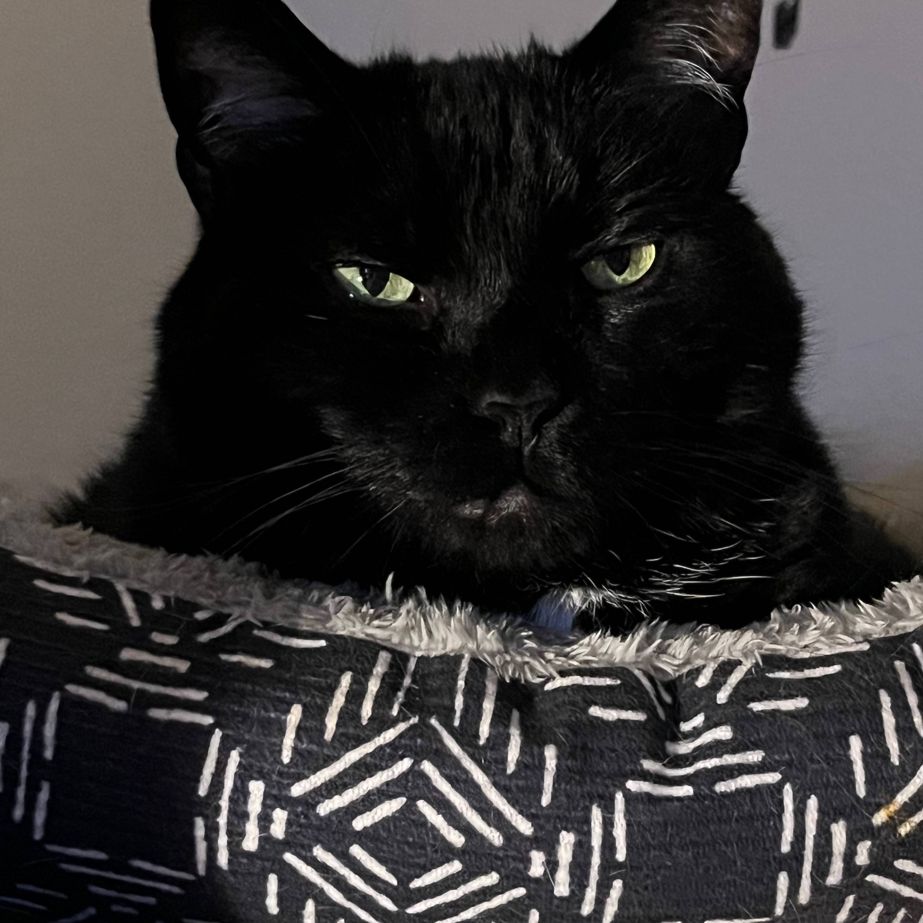 Jennyjuju74 | ScreenRant Profile