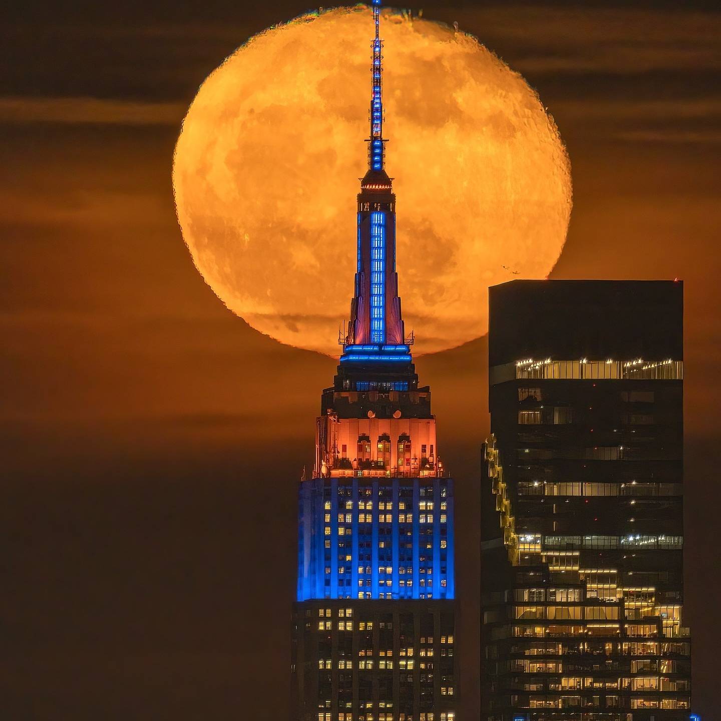 Susie | ScreenRant Profile