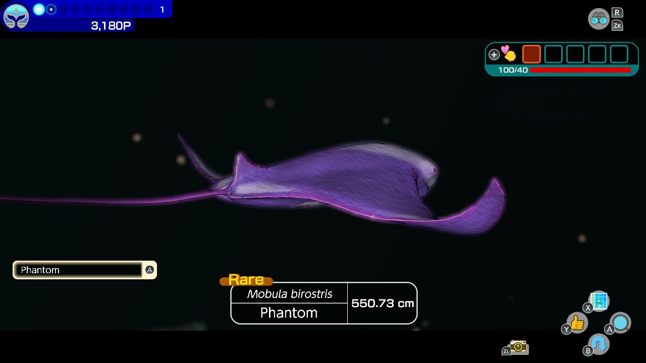 Endless Ocean: Luminous | ScreenRant