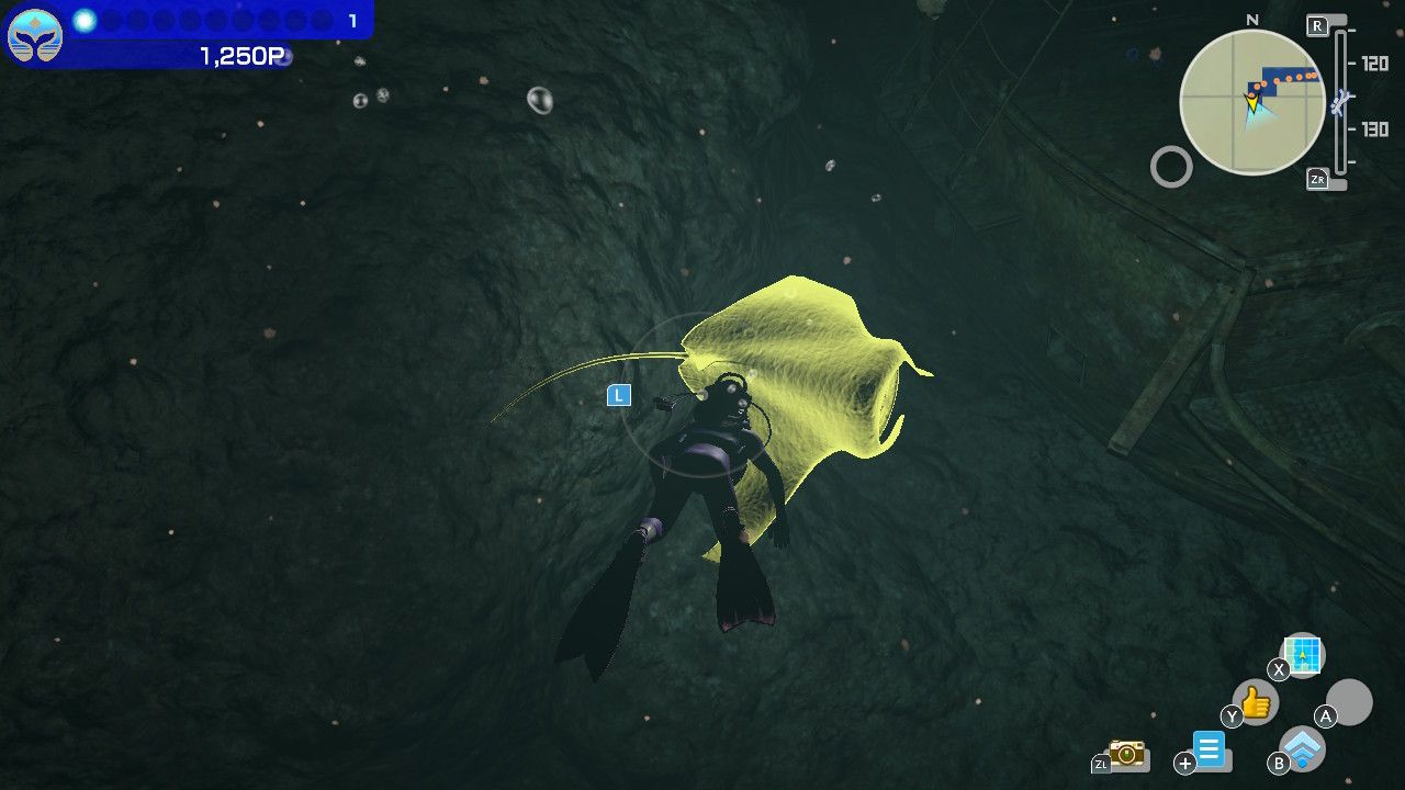 Endless Ocean: Luminous | ScreenRant