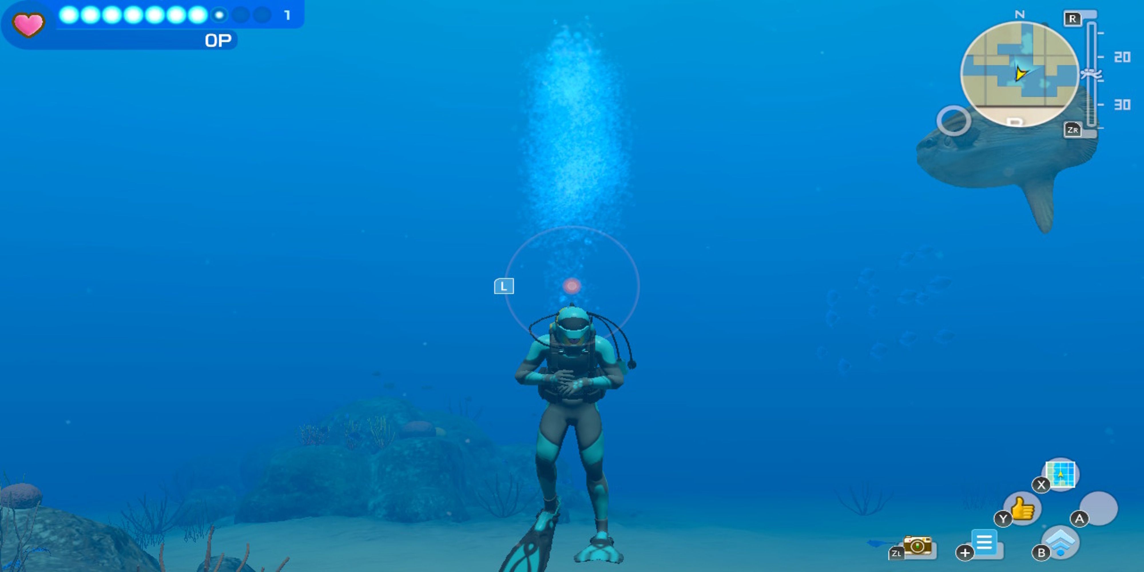 Endless Ocean: Luminous | ScreenRant