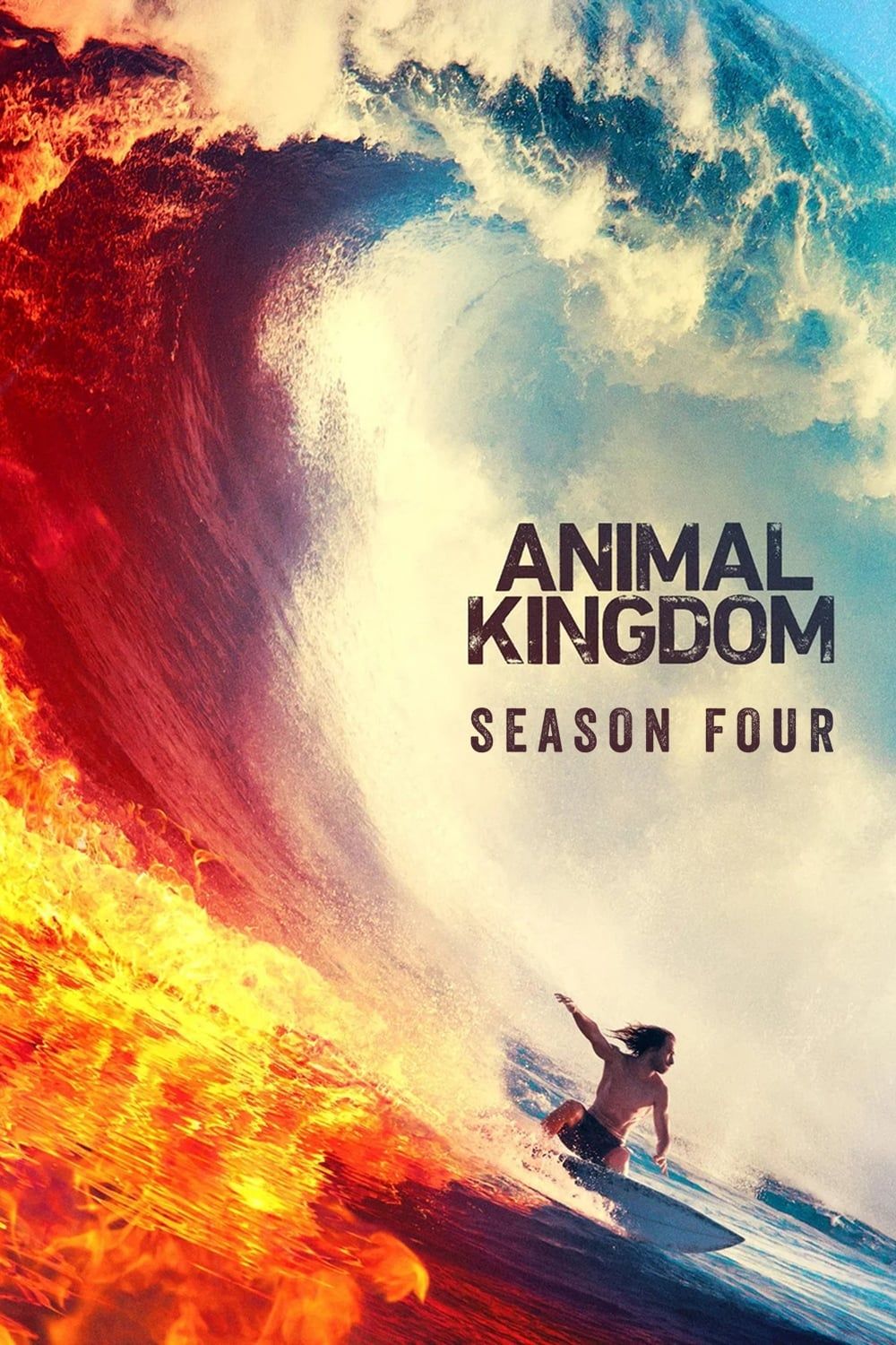 Animal Kingdom Summary, Trailer, Cast, and More