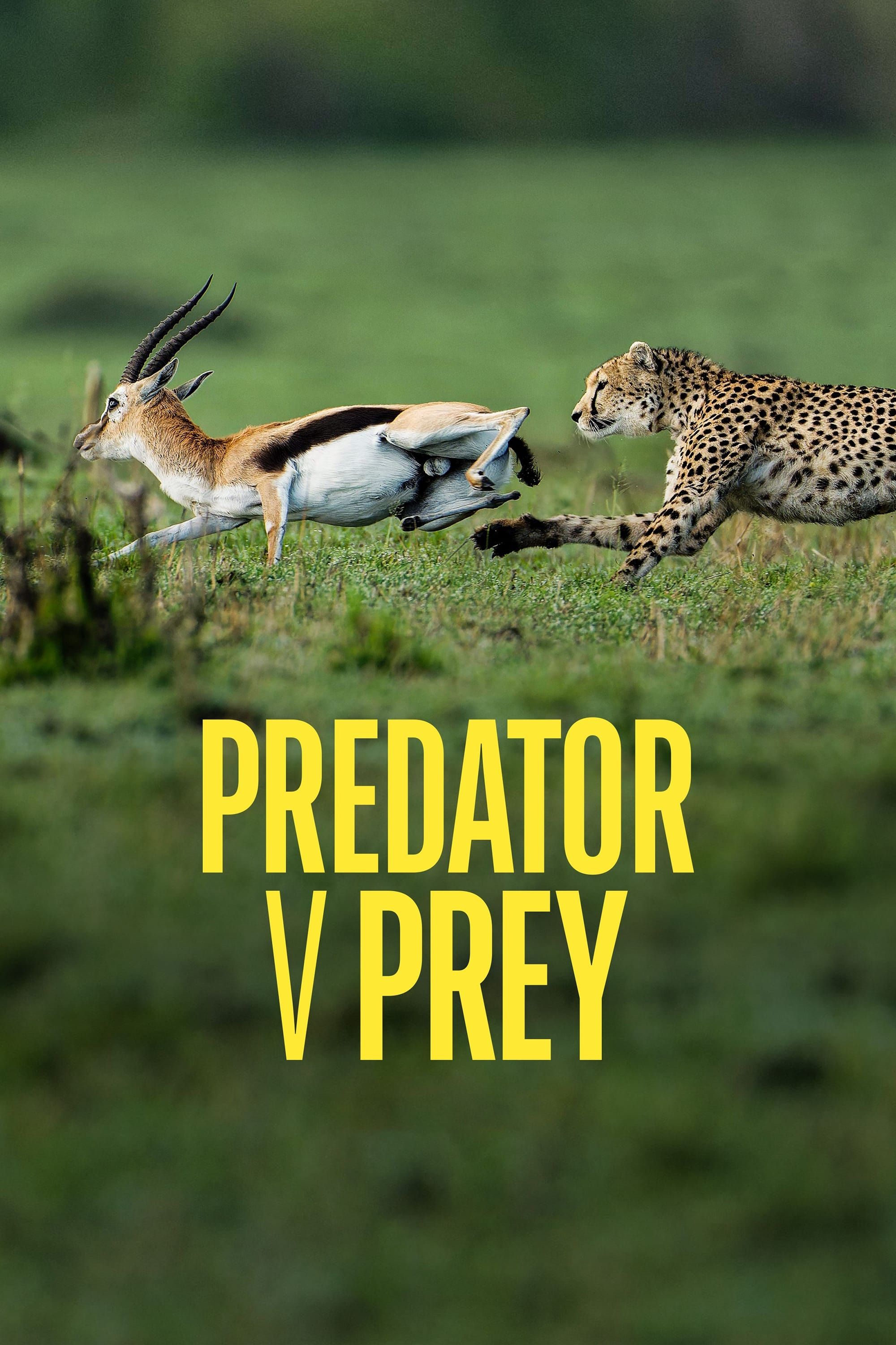 Predator v. Prey Summary, Latest News, Trailer, Season List, Cast ...